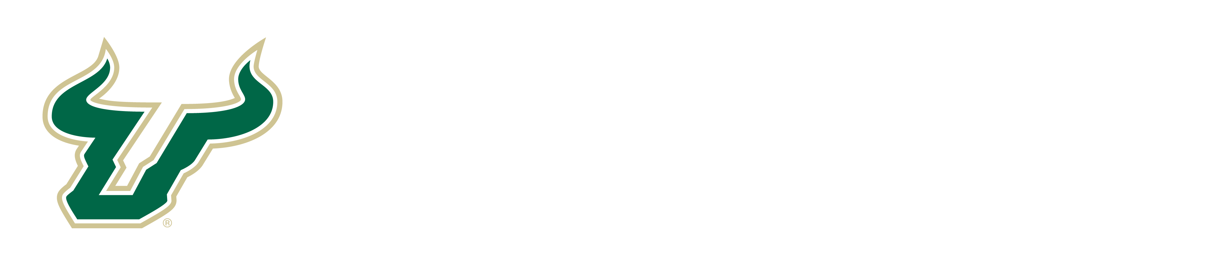 USF VSEM University Of South Florida